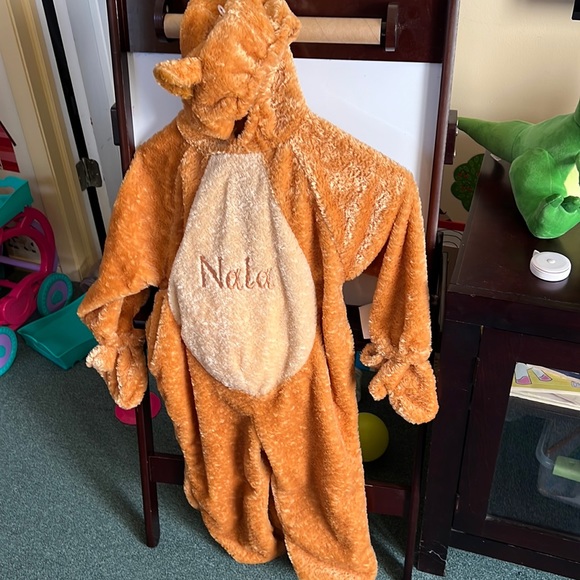 Disney | Costumes | Disney Nala The Lion Cub Costume | Poshmark